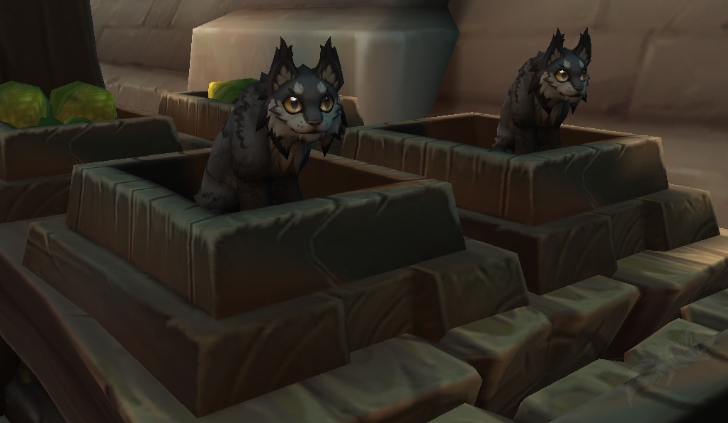 Mischievous Lynx - NPC - World of Warcraft