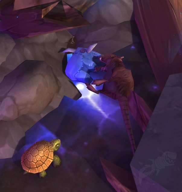 Dalaran Sewer Turtle - NPC - World of Warcraft