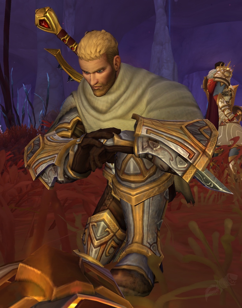 Anduin Wrynn - NPC - World of Warcraft