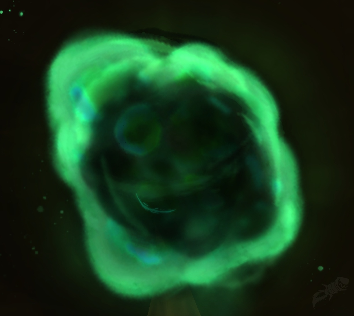 Orbe - PNJ - World of Warcraft