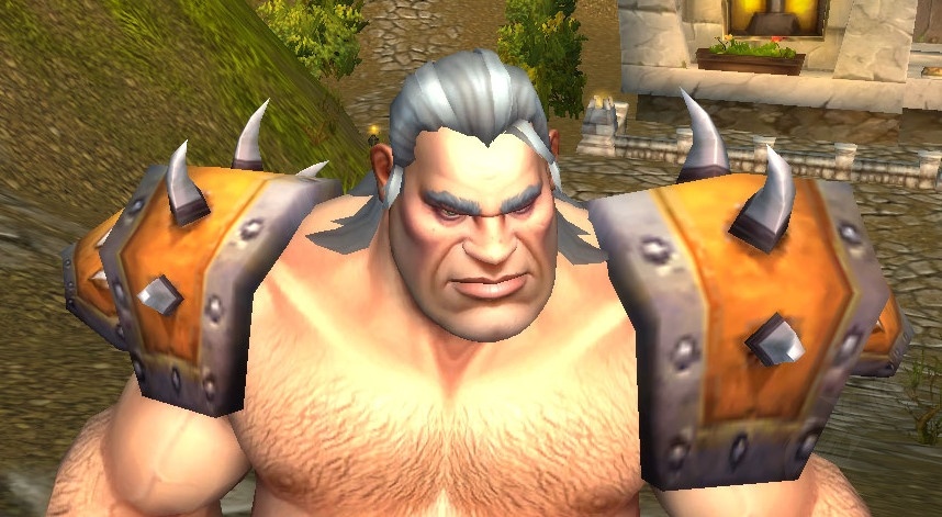 Chieftain's Shoulders - Item - World of Warcraft