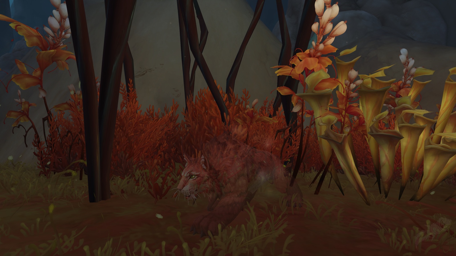 Special Assignment: Lynx Rescue - Quest - World of Warcraft Special Assignment: Lynx Rescue - Quest - World of Warcraft