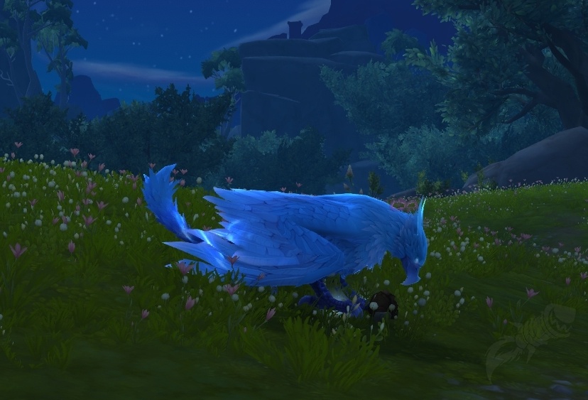 Elusive Tempestrook - NPC - World of Warcraft