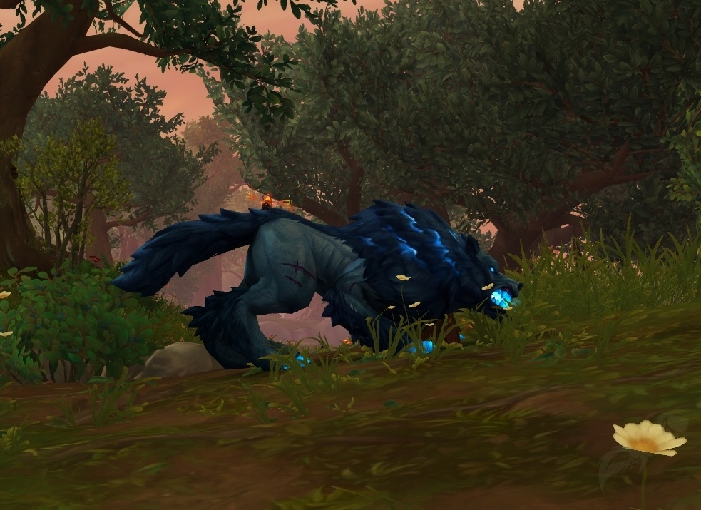 Elusive Maelstrom Wolf - NPC - World of Warcraft
