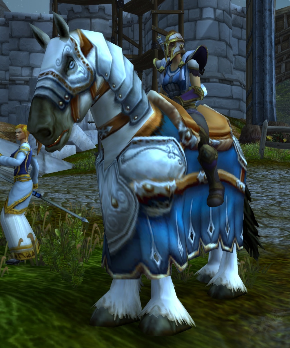 Paladin der Silbernen Hand - NPC - World of Warcraft