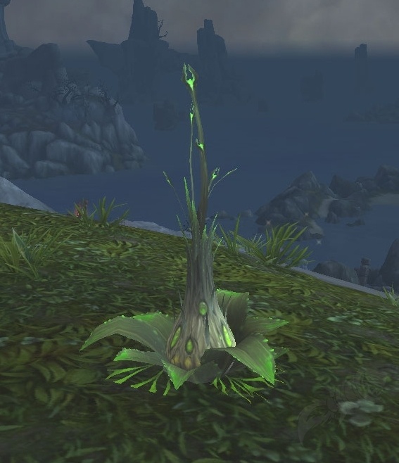 [Felwort] - Entidad - World of Warcraft