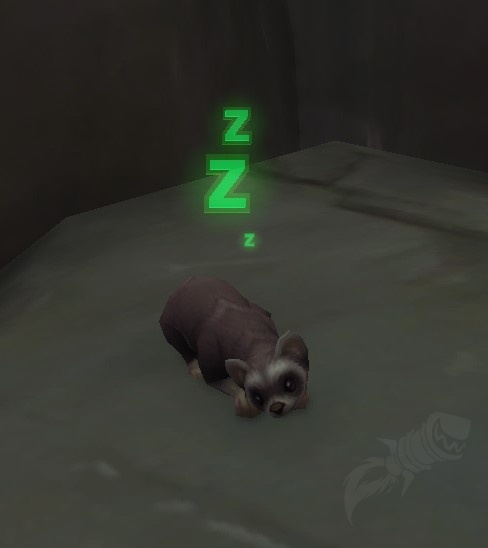 Nimble Ferret - NPC - World of Warcraft