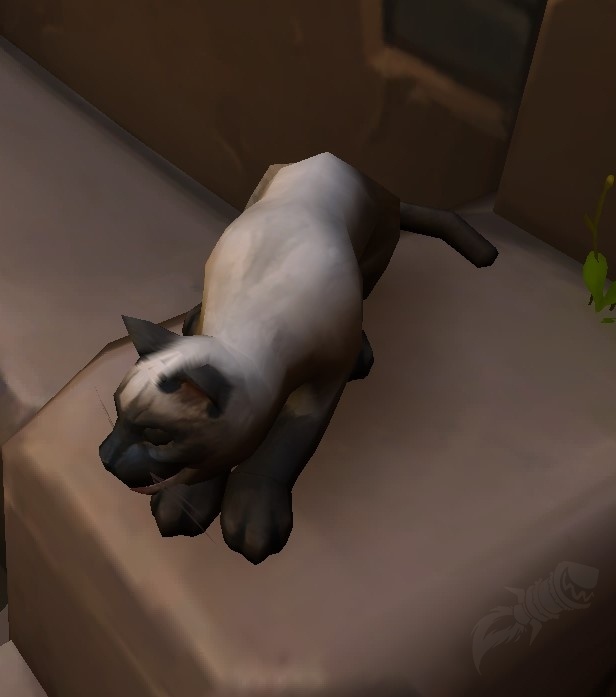 Gato ratonero - PNJ - World of Warcraft
