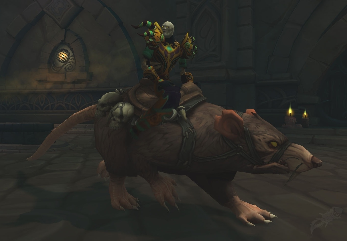 Le roi des rats - PNJ - World of Warcraft