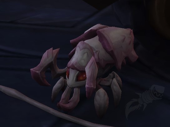 Insectiformateur - PNJ - World of Warcraft