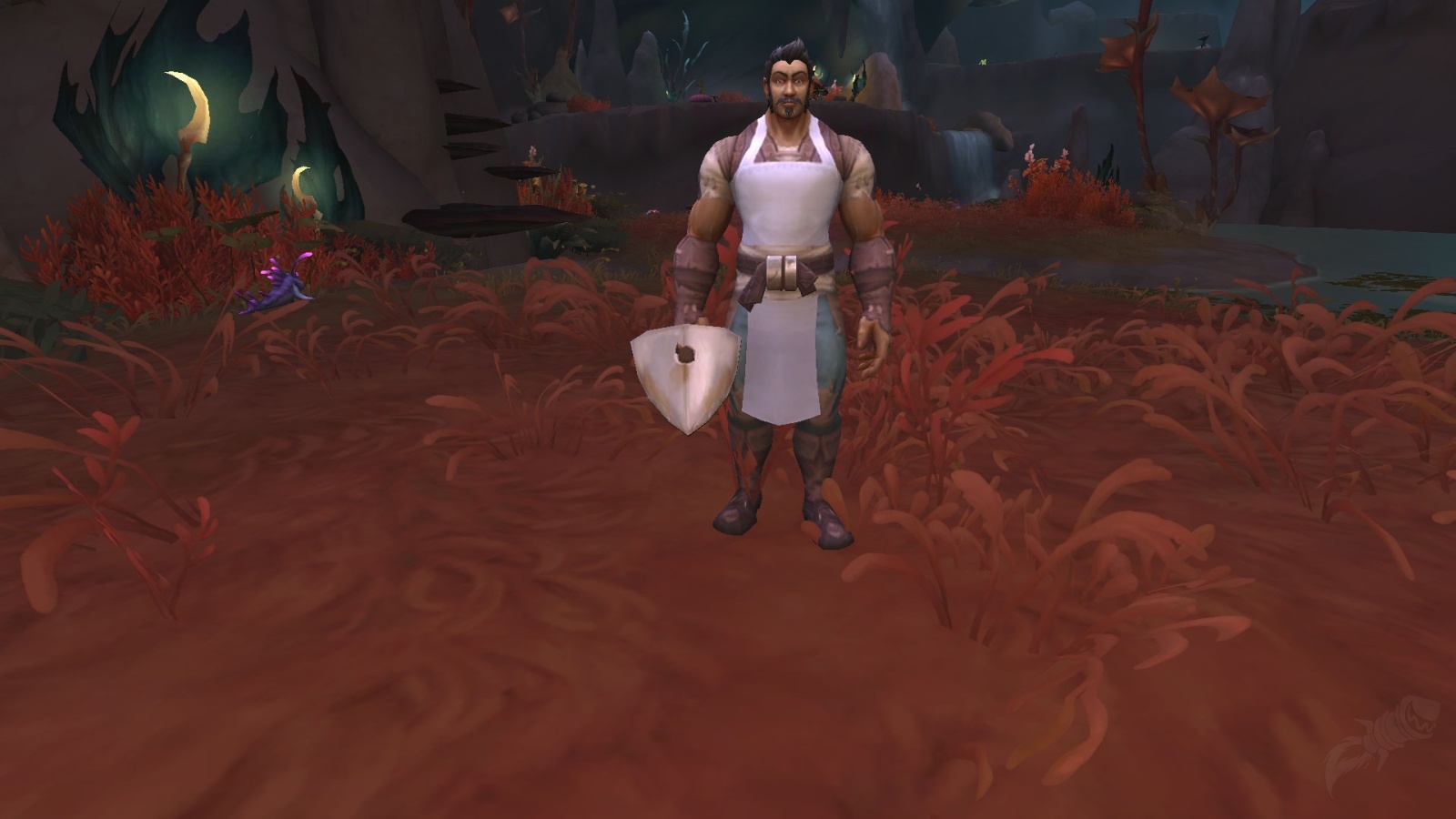 Chef Jantaire - PNJ - World of Warcraft