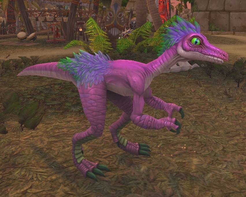 Jani - NPC - World of Warcraft