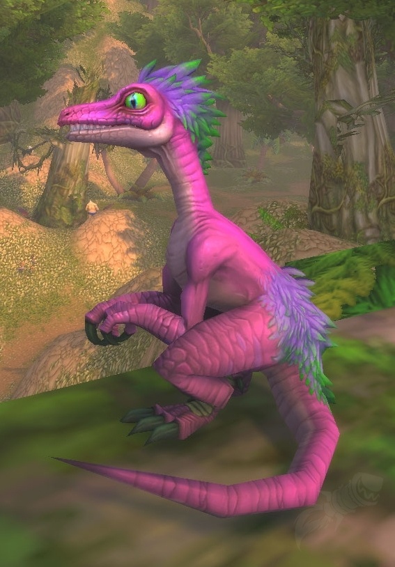 Jani - NPC - World of Warcraft