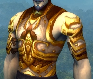 Heroic Judicator's Chestguard - Item - World of Warcraft