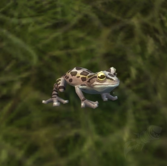 Forest Frog - NPC - World of Warcraft