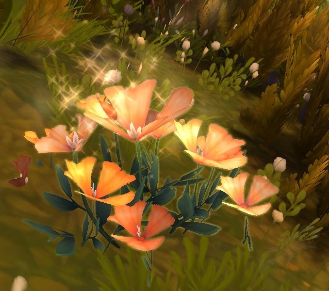 Amber Bloom - Item - World of Warcraft