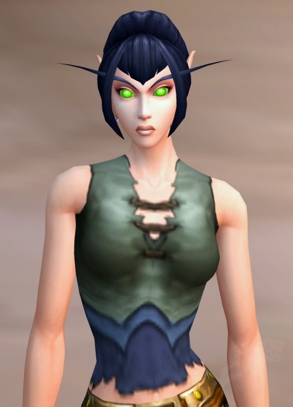 Padded Chainmail - Item - 11.1.0 PTR