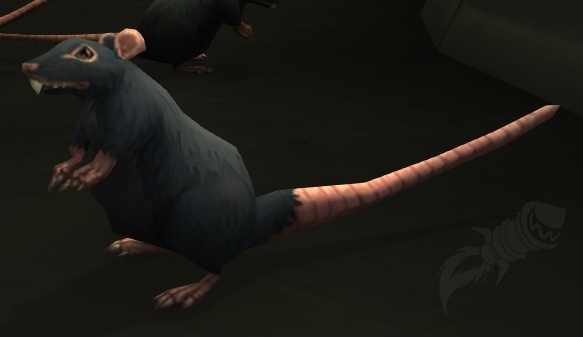 Sewer Rat - NPC - World of Warcraft