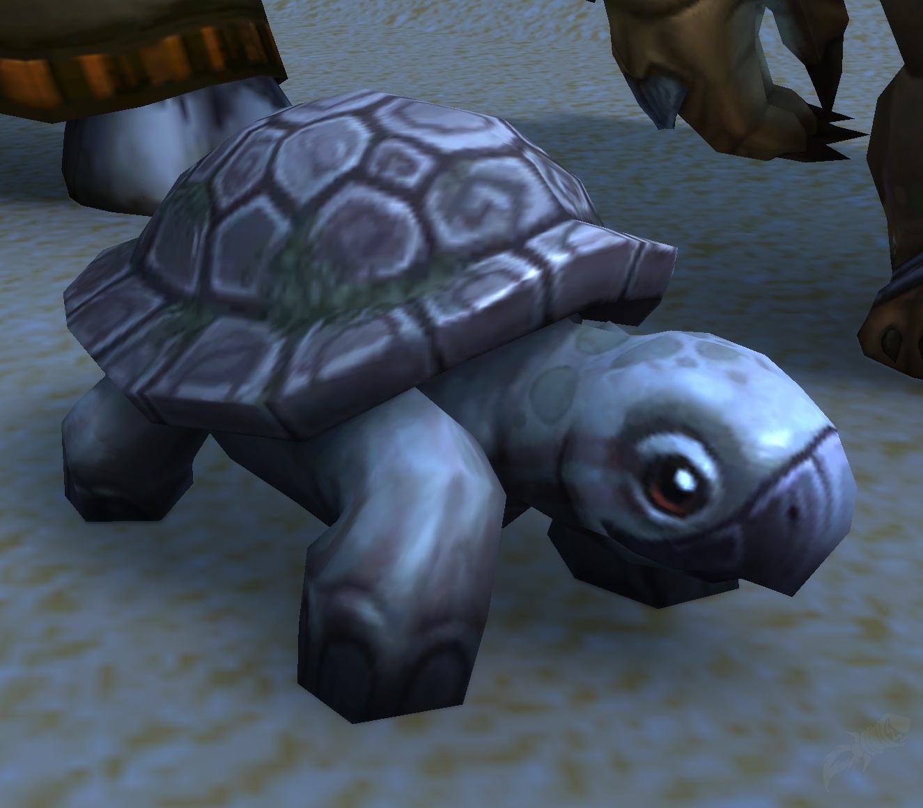 Torga - PNJ - World of Warcraft