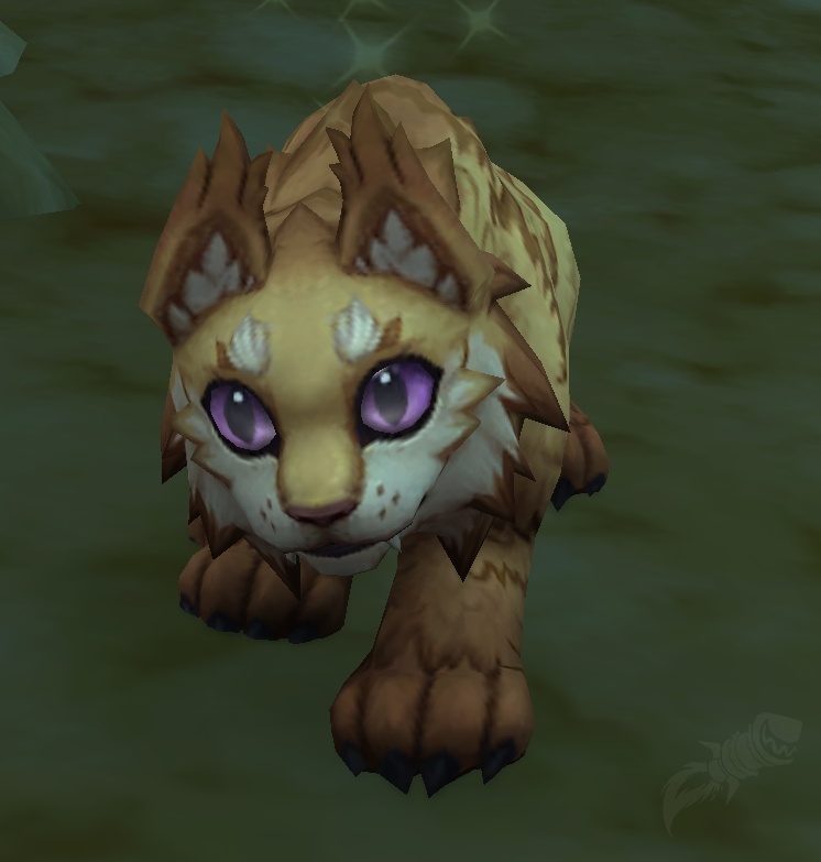 Thunder - NPC - World of Warcraft