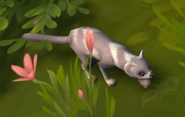Salt-Ear Ferret - NPC - World of Warcraft