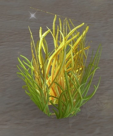 Sungrass - Item - Cataclysm Classic