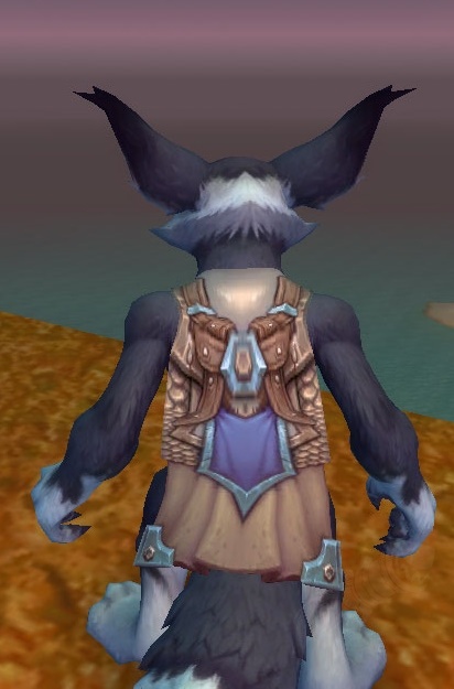 Timely Tourist's Cloak - Item - 11.0.7 PTR