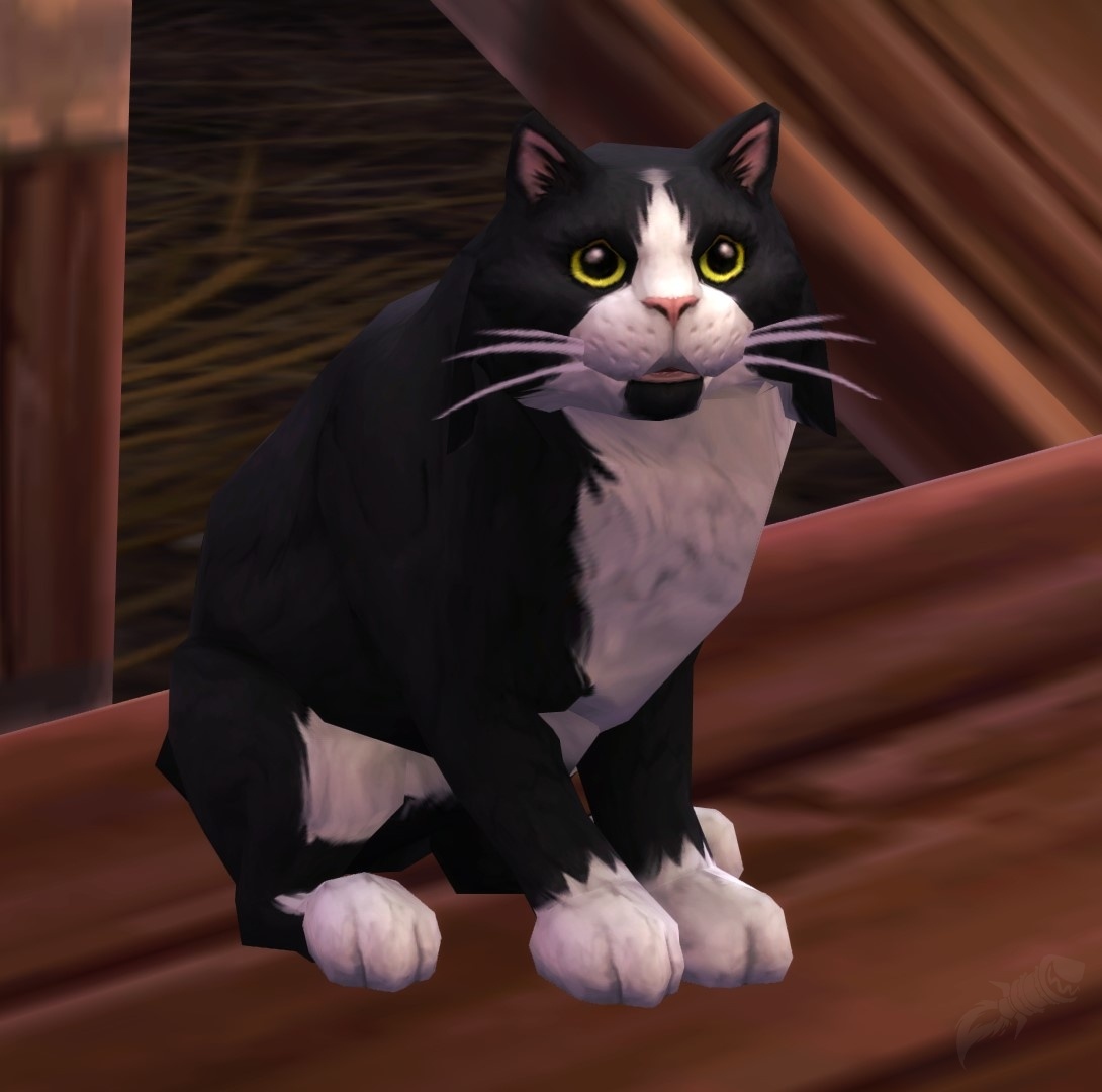 Gizmo - PNJ - World of Warcraft