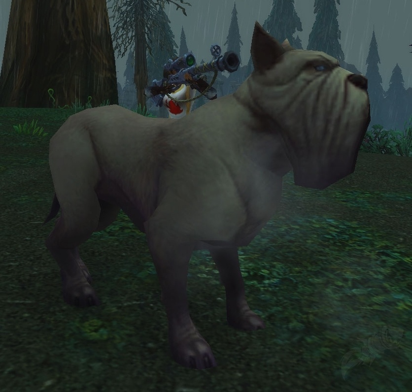 Alert Hound - NPC - World of Warcraft