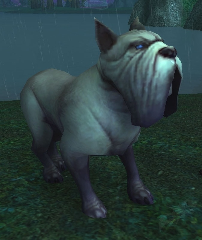 Alert Hound - NPC - World of Warcraft