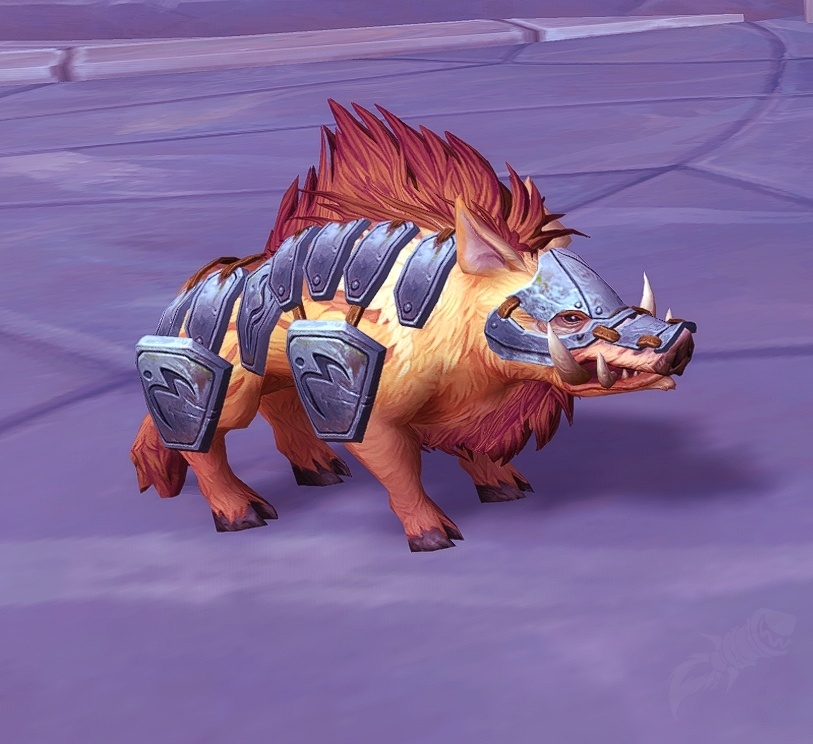 Marcassin de guerre - PNJ - World of Warcraft
