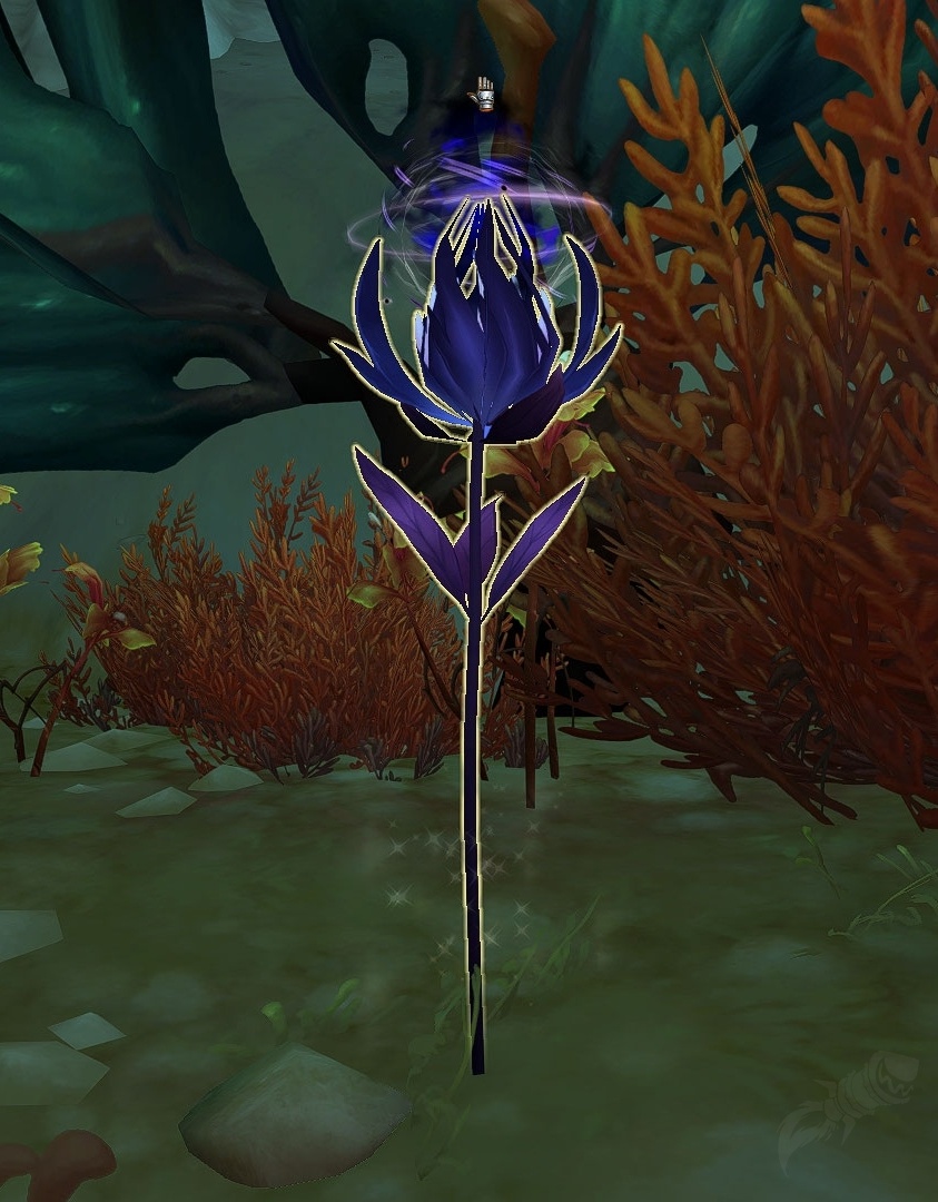 Flor extraña - PNJ - World of Warcraft