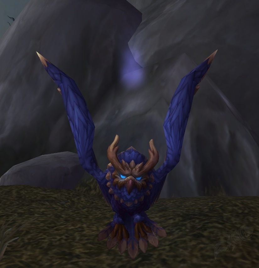 Fledgling Warden Owl - NPC - World of Warcraft