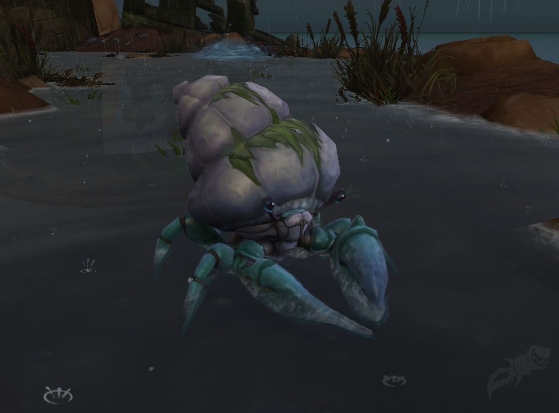 Sandsifting Hardshell - NPC - World of Warcraft