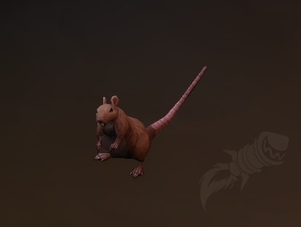 Dusty Mouse - NPC - World of Warcraft