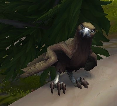 Aasfressender Falke - NPC - World of Warcraft