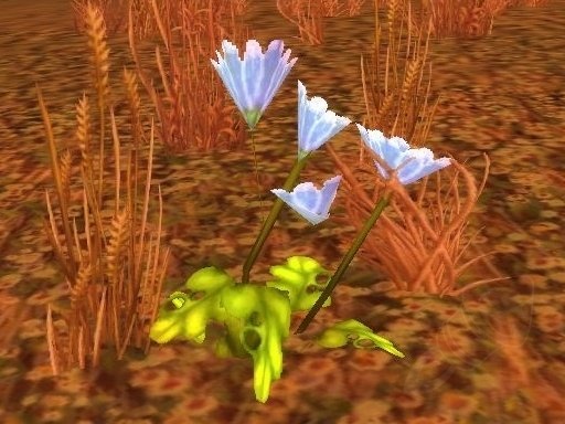 Peacebloom - Object - Classic World of Warcraft