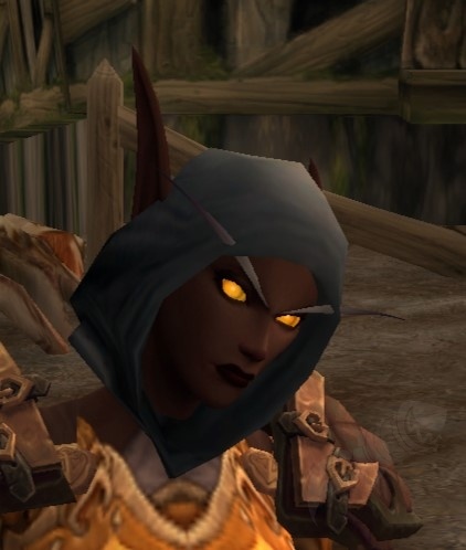Cloaked Hood - Item - World of Warcraft