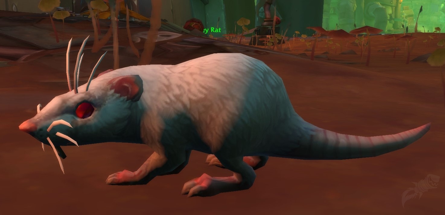 Alley Rat - NPC - World of Warcraft