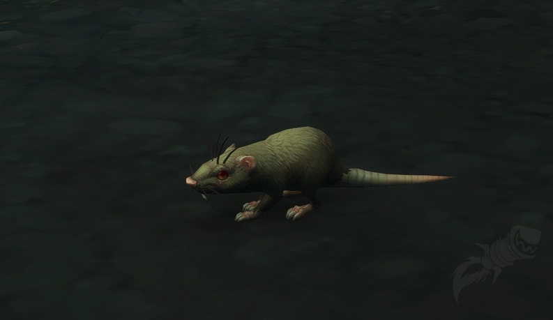 Scrungly Rat - NPC - World of Warcraft
