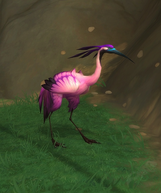 Docile Flamingo - NPC - World of Warcraft