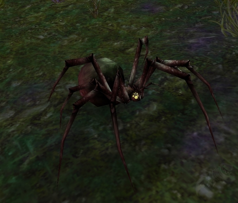Young Night Web Spider - NPC - Classic World of Warcraft