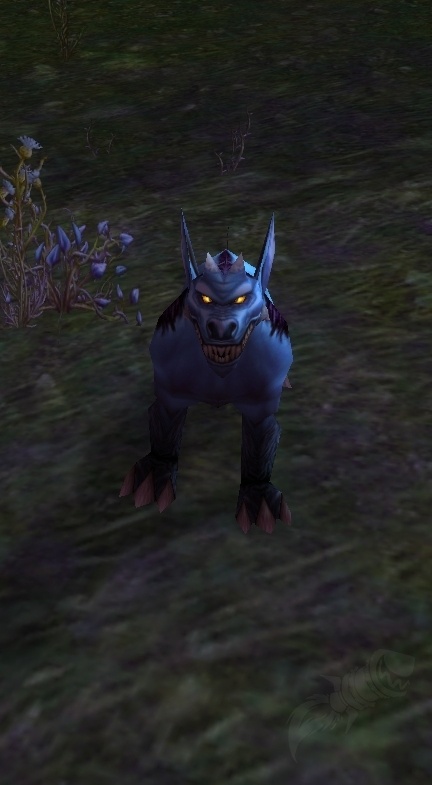 衰老的黑暗犬—NPC—[Classic PTR]