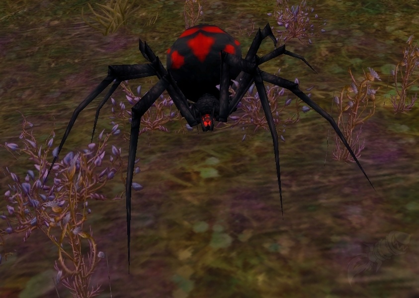 Vicious Night Web Spider - NPC - Classic World of Warcraft