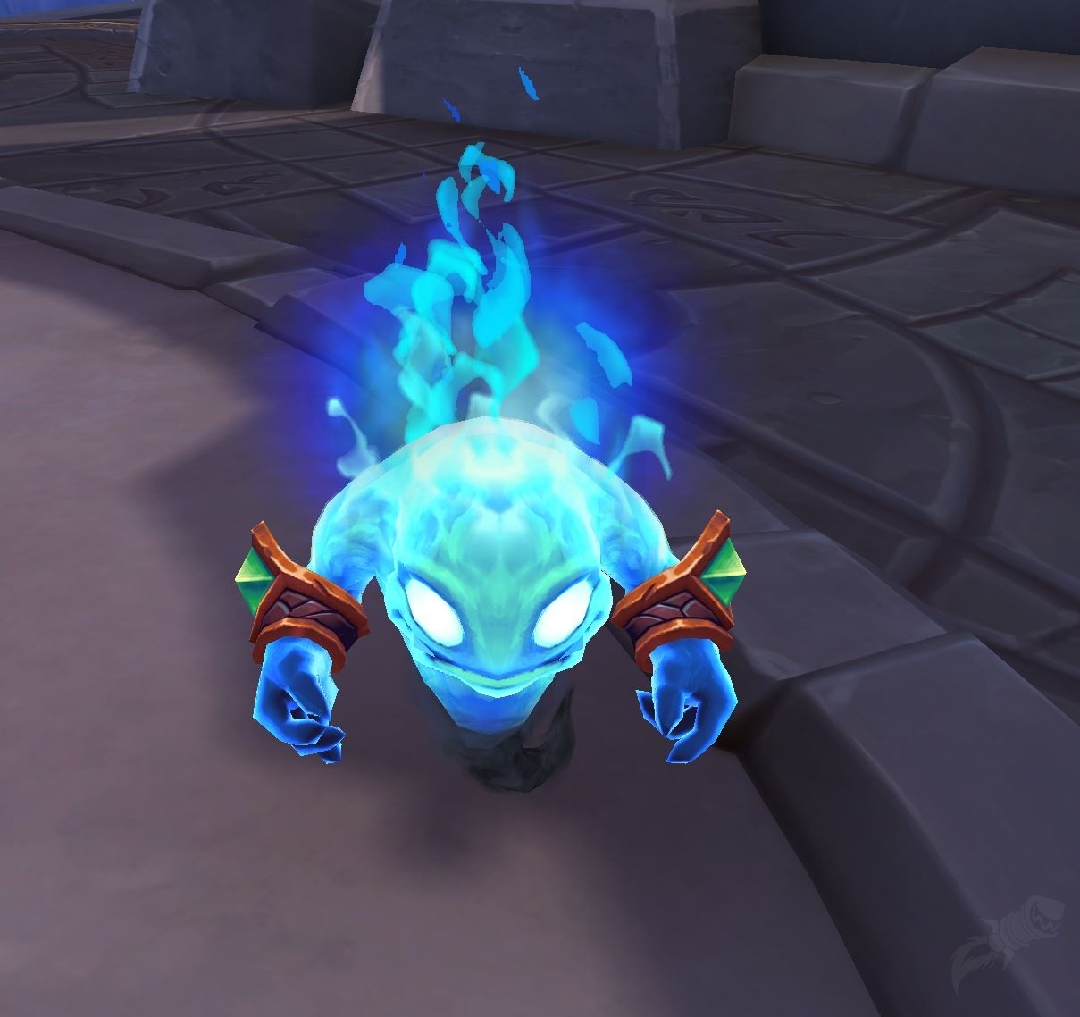 Kabluey - NPC - World of Warcraft