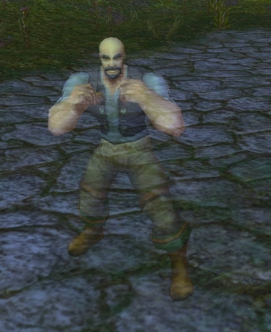 Wandering Spirit - NPC - WotLK Classic