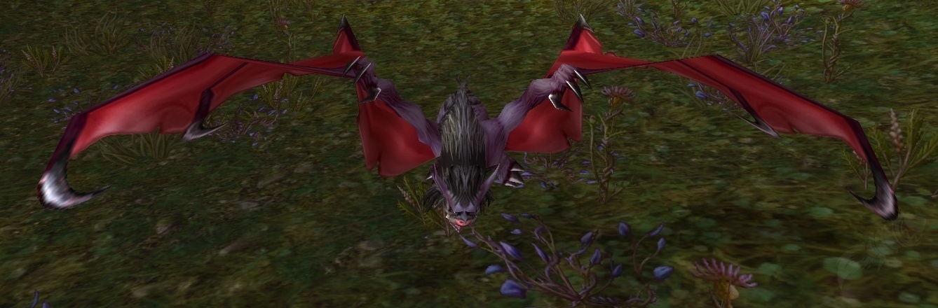 Vampiric Duskbat - NPC - TBC Classic