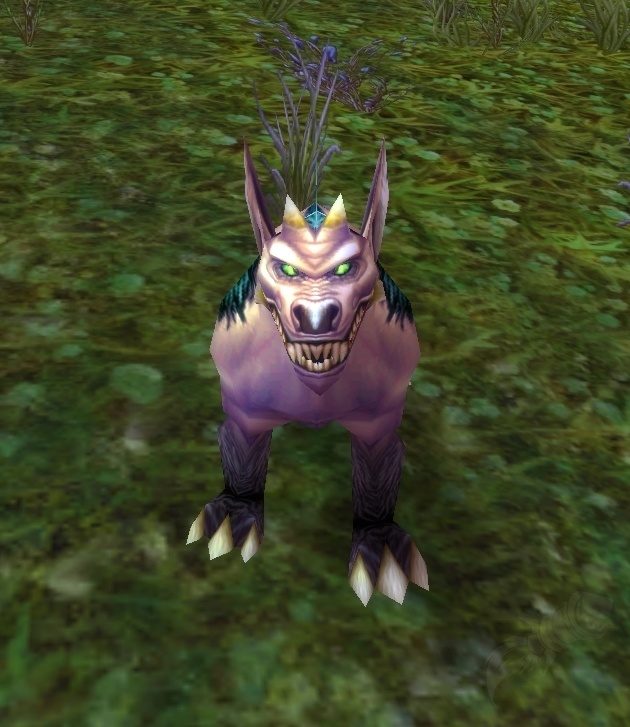 Bayne - PNJ - World of Warcraft Clásico