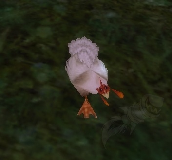 Chicken - NPC - Cataclysm Classic