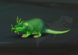 Rata empapada en ácido - PNJ - World of Warcraft